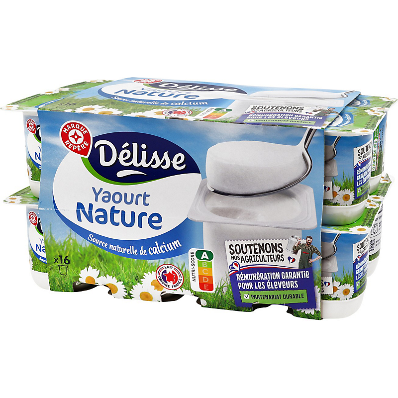 Yaourt nature - 16 x 125 g - DELISSE au meilleur prix | E.Leclerc