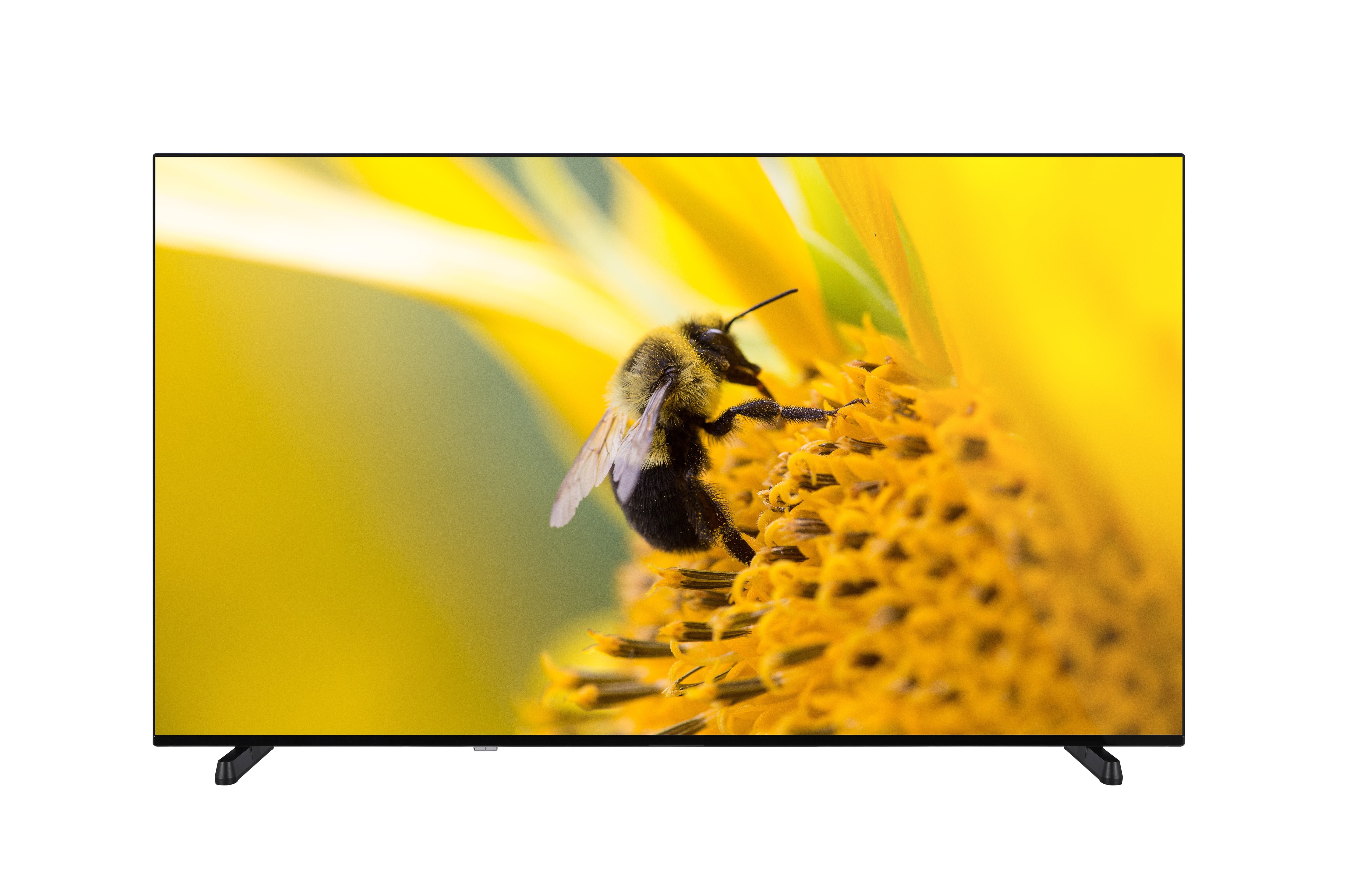 TV LED Tucson TL65UHDBL23SW au meilleur prix | E.Leclerc