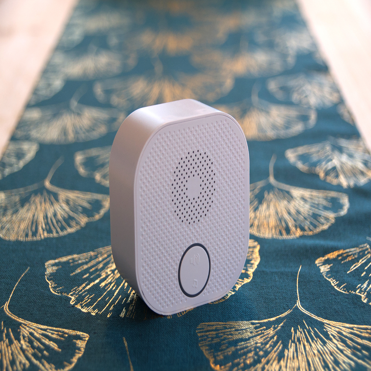 Récepteur carillon design sans fil sur batterie 150m - Chacon au ...