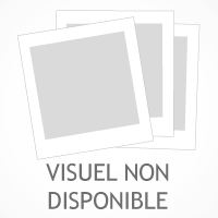 Anatomie T4 - L'abdomen, la région rétro-péritonéale, le petit bassin ...