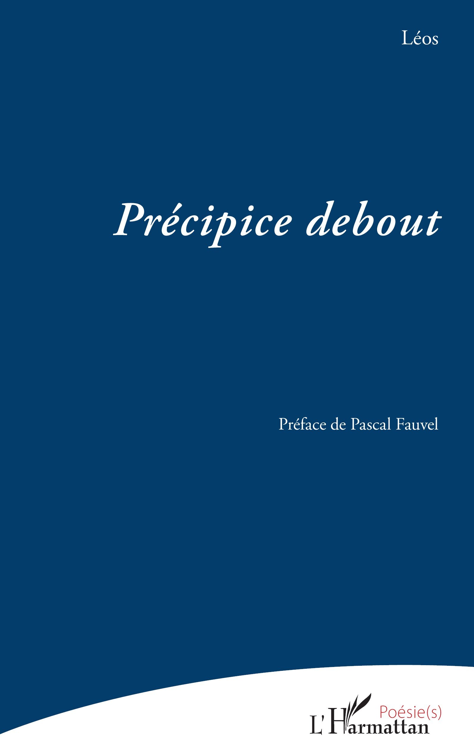 Précipice debout (Grand format) au meilleur prix | E.Leclerc