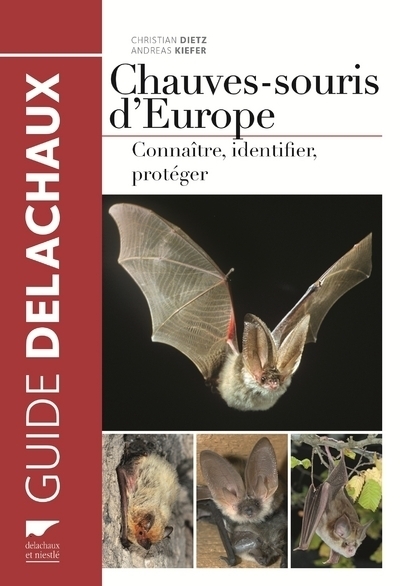 Chauves-souris d'Europe - Connaître, identifier, protéger (Relié) au ...
