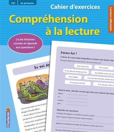 COMPREHENSION A LA LECTURE (CE1 2E PRIMAIRE) (BLEU) (Broché) au ...